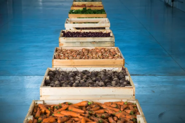 Shipment of vegetables Stock Photos, Royalty Free Shipment of ...