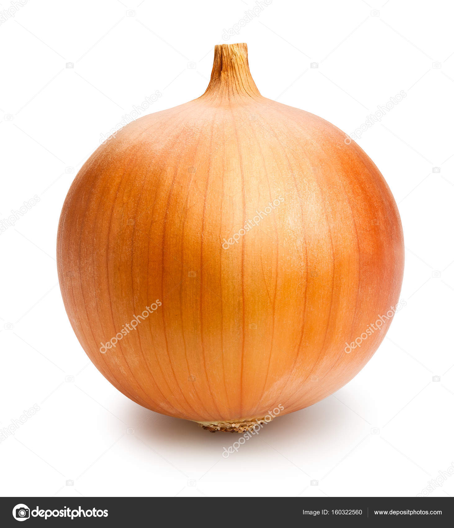 Fresh spanish onion Stock Photo by ©bergamont 160322560