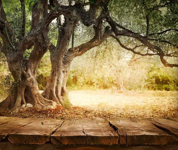Wooden table with olive tree Stock Photo by ©mythja 63826137