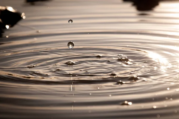 Water Drop Falling Into Pond — Stock Photo © katylaveck #130413010