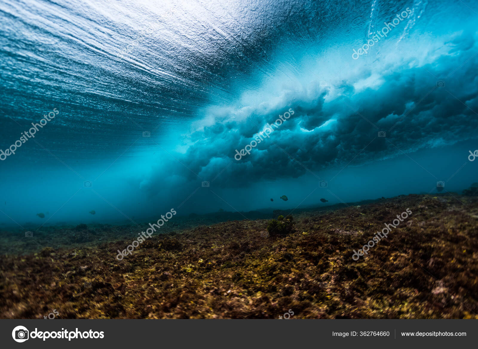 Underwater View Ocean Wave Breaking Coral Reef — Stock Photo ...