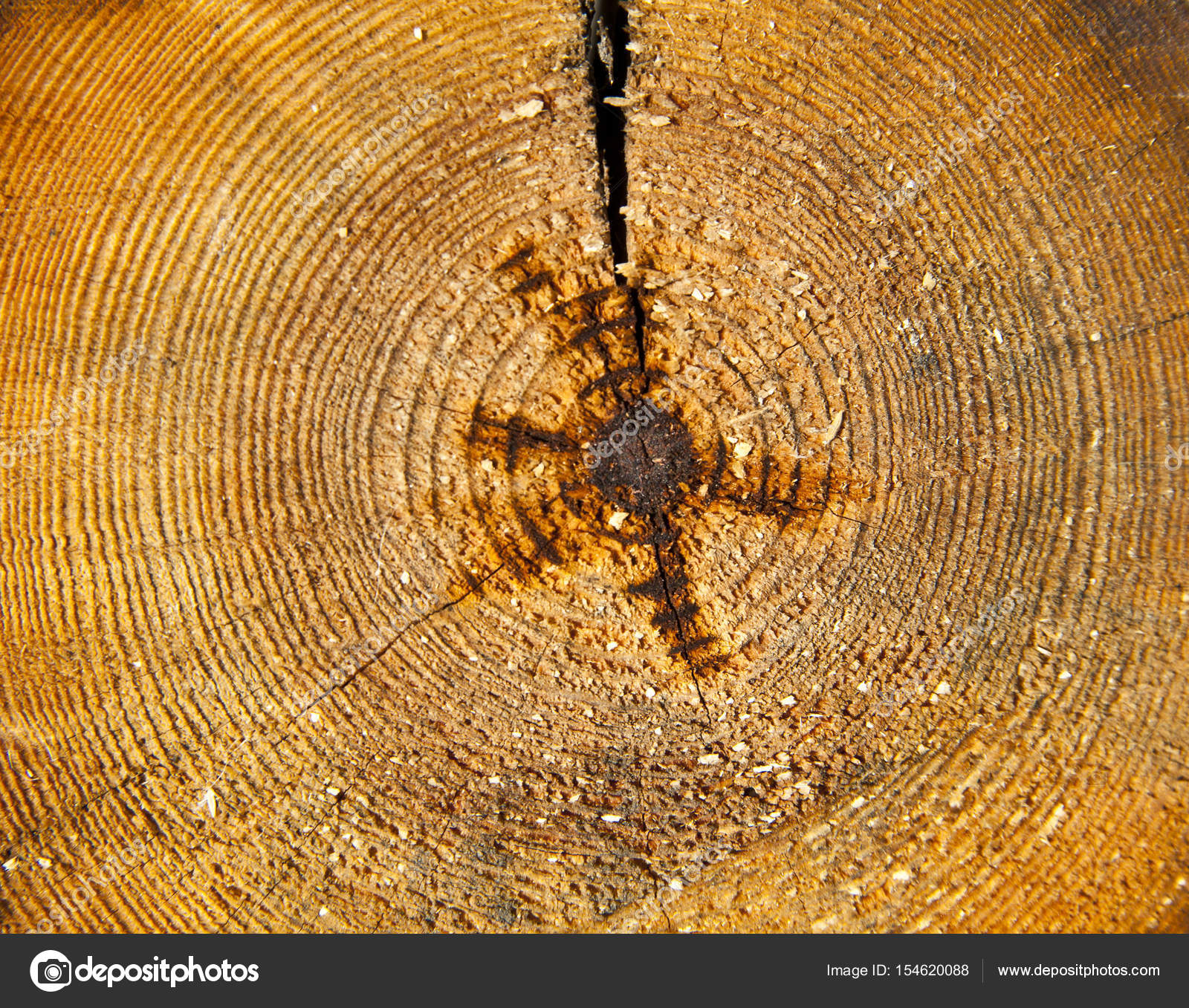 Texture cut of tree Stock Photo by ©valzan 154620088