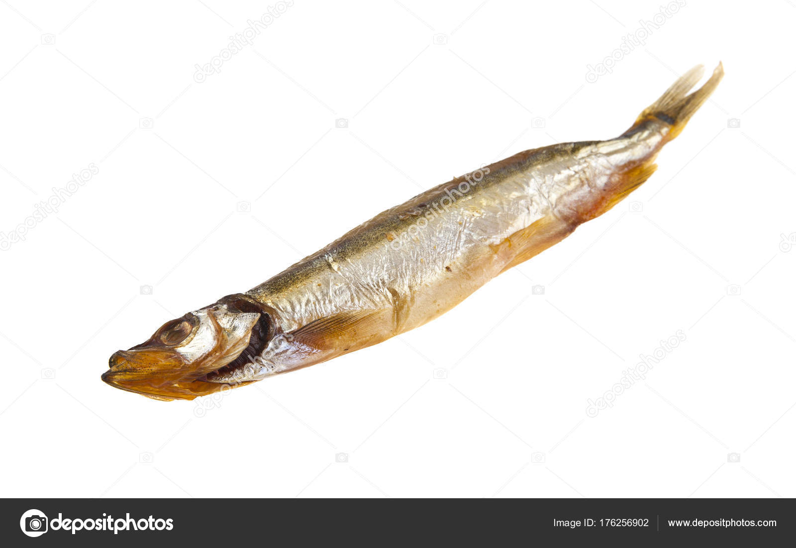 Smoked capelin isolated on white background — Stock Photo © valzan ...