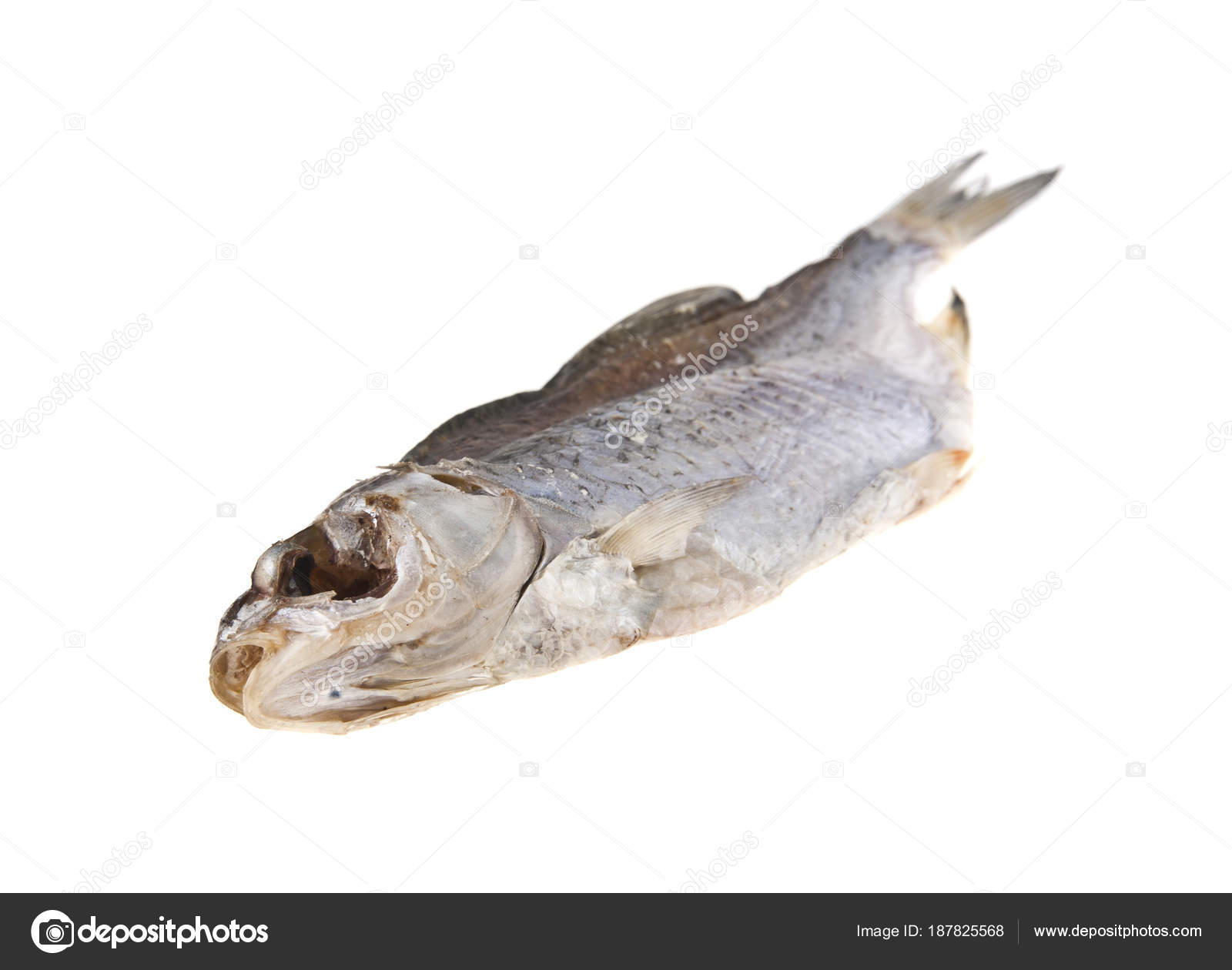 Cured fish isolated on white background Stock Photo by ©valzan 187825568
