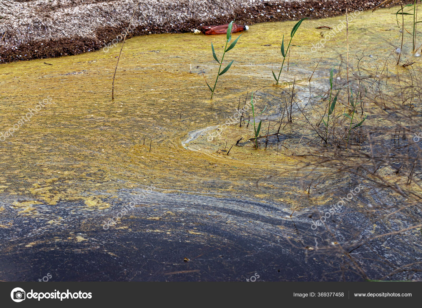 Dirty Water Garbage Water Pollution Public Canal River Sewage City ...
