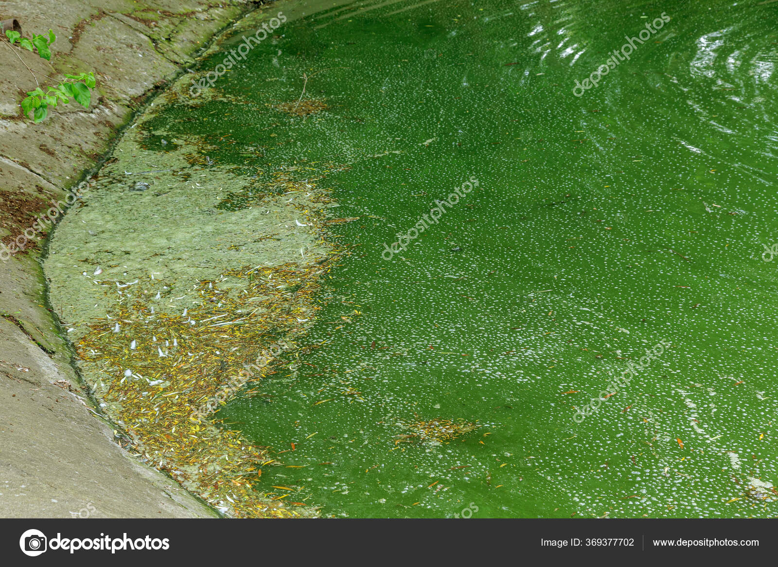 Dirty Water Garbage Water Pollution Public Canal River Sewage City ...