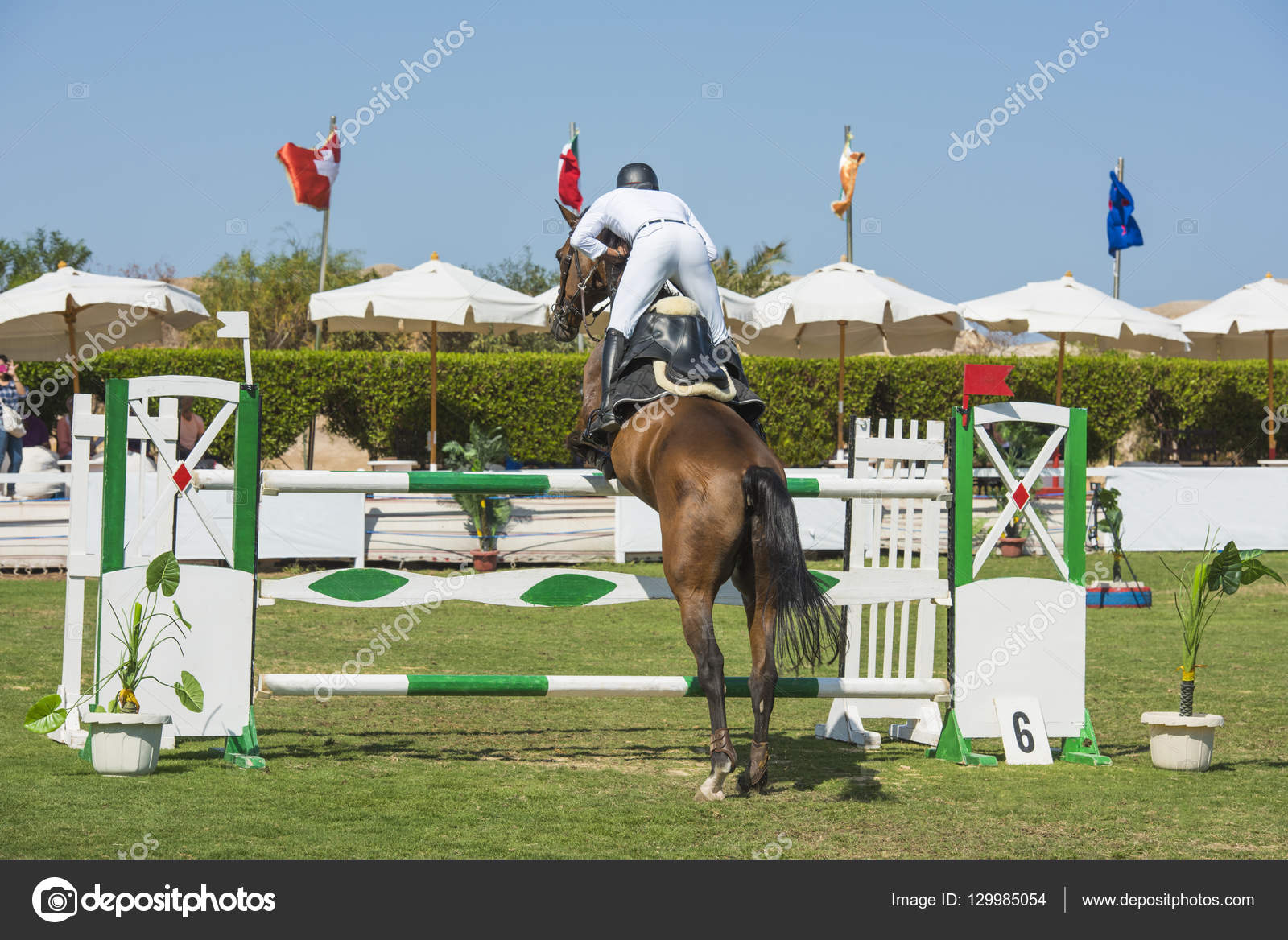 Paard en ruiter springen in Paardensport competitie – Redactionele ...