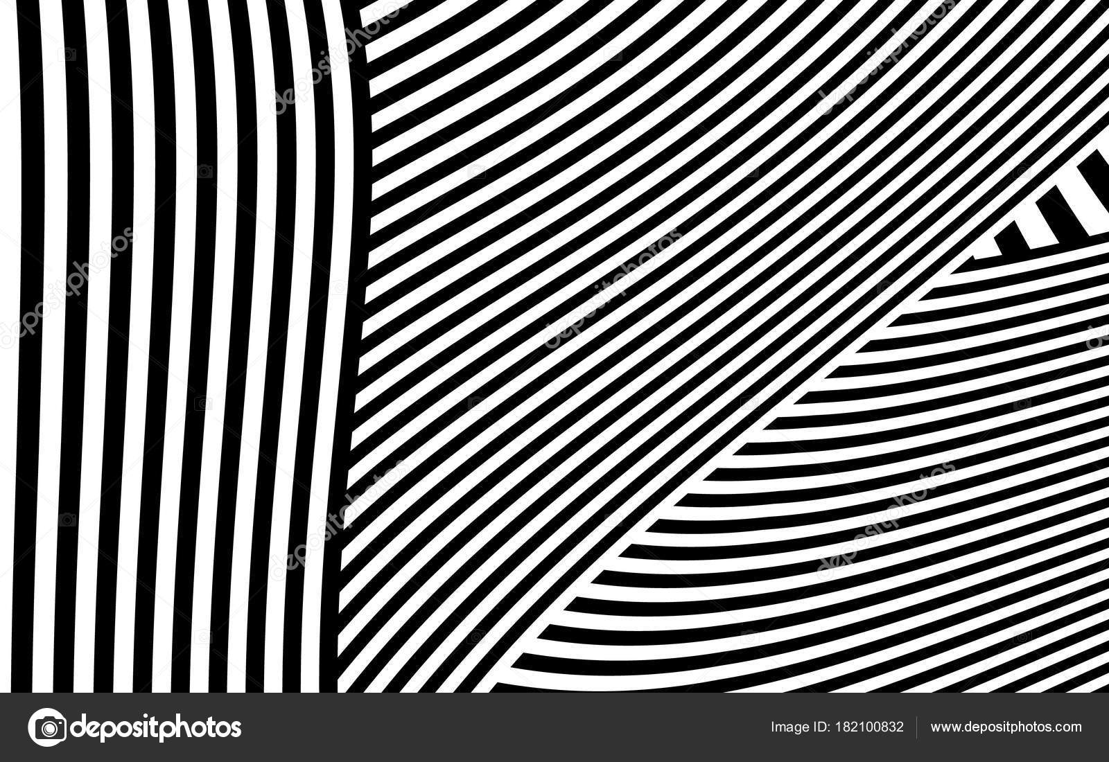 Vector de rayas en blanco y negro de Zebra Design Vector de stock por ...
