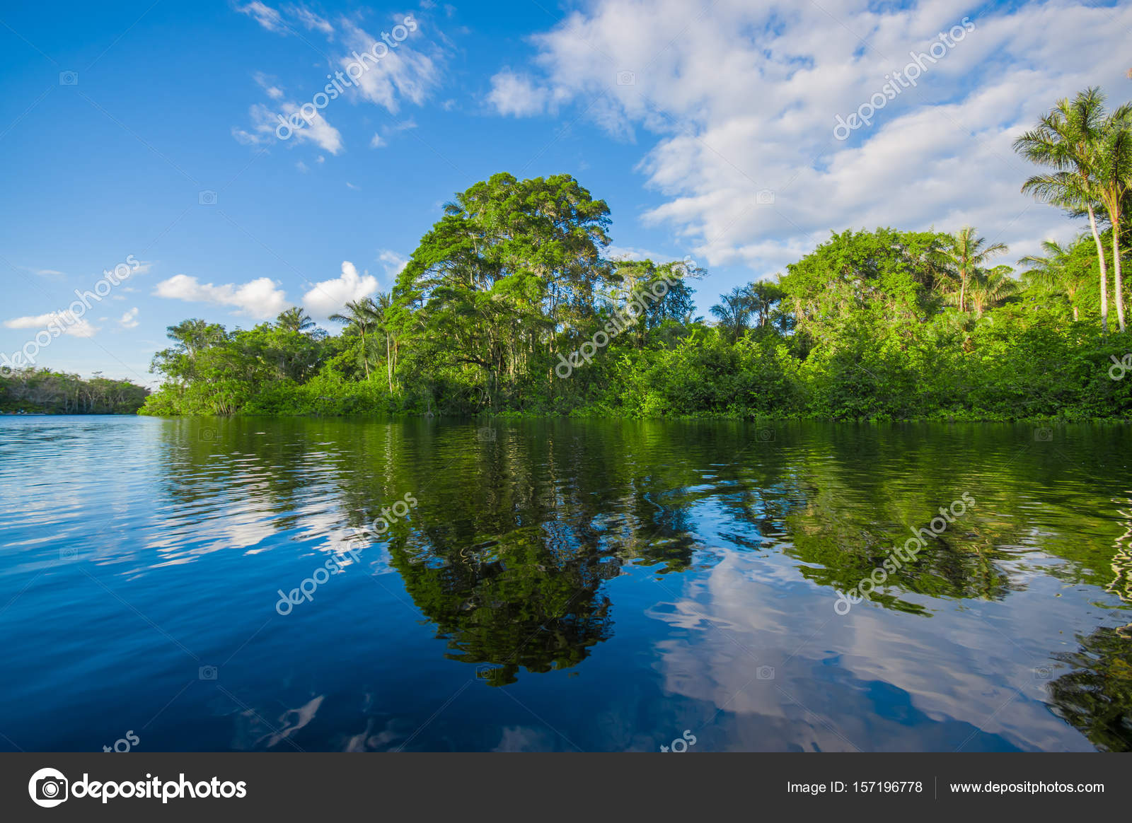 Cuyabeno river, rainforest, terrain of Siona indigenous people ...