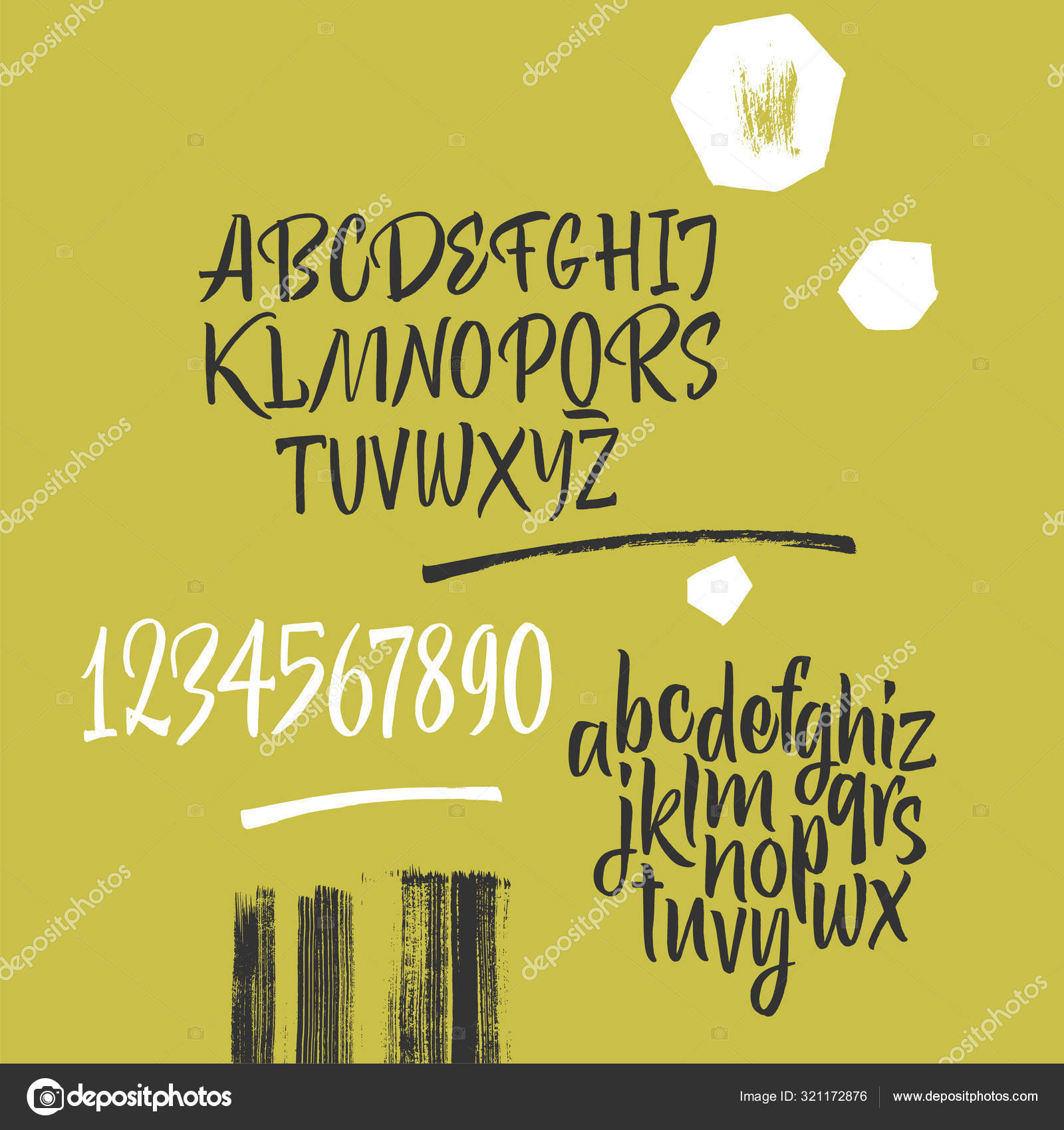 Handwritten font. Script. Latin calligraphic set Stock Vector by ©vera ...