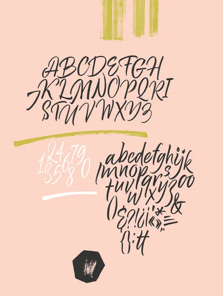 Handwritten font. Script. Latin calligraphic set — Stock Vector © vera ...