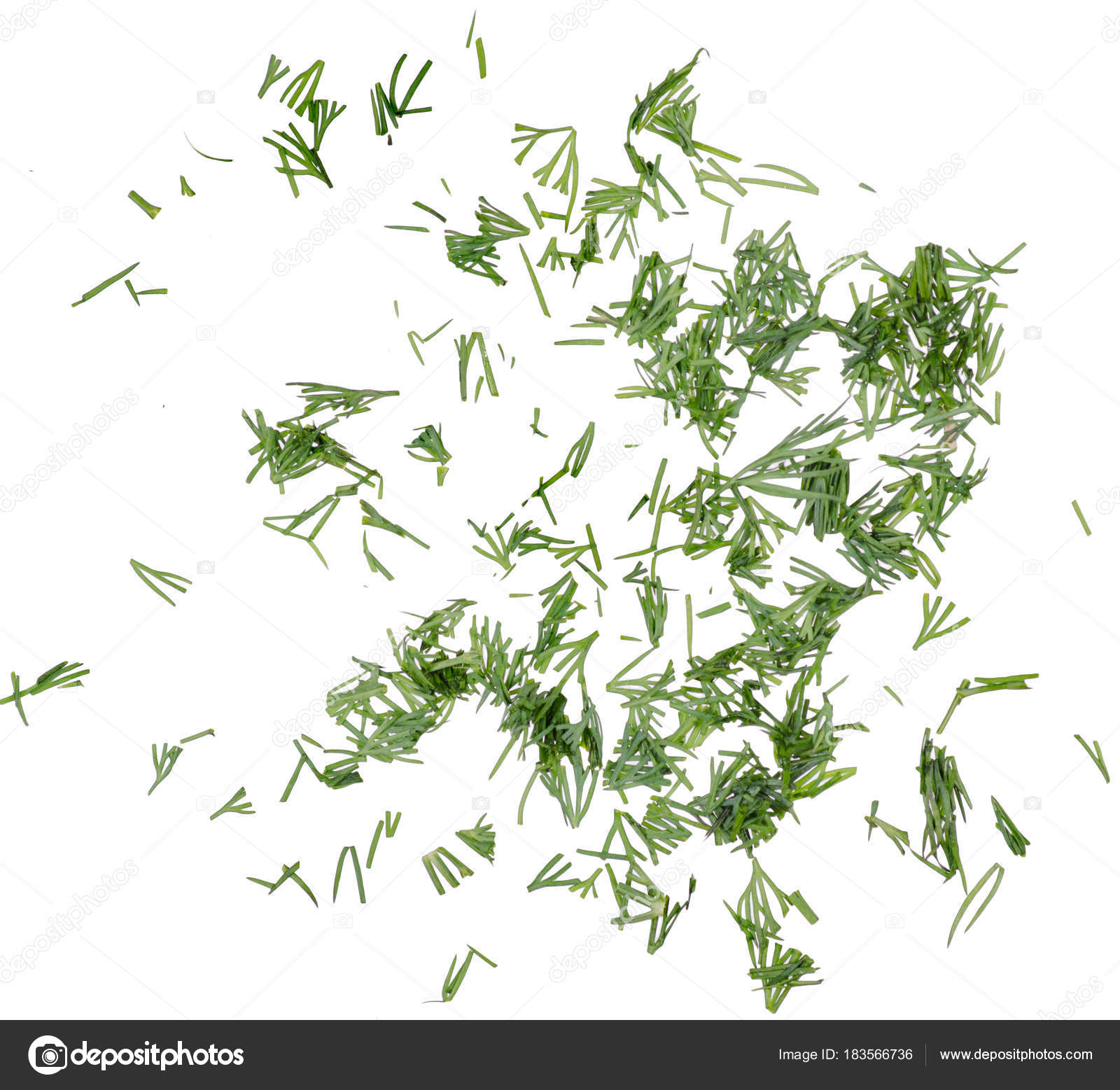 Dill chopped top view — Stock Photo © Evgenyjs1 #183566736