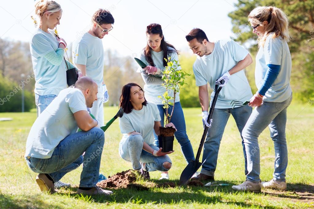 Group of volunteers planting tree in park — Stock Photo © Syda ...