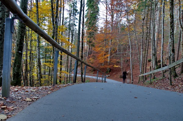 Elevated pathway Stock Photos, Royalty Free Elevated pathway Images ...