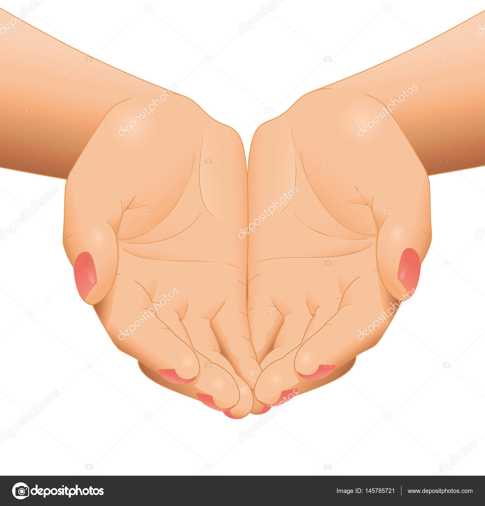 Empty open woman hands Stock Vector Image by ©NatalyaProk #145785721
