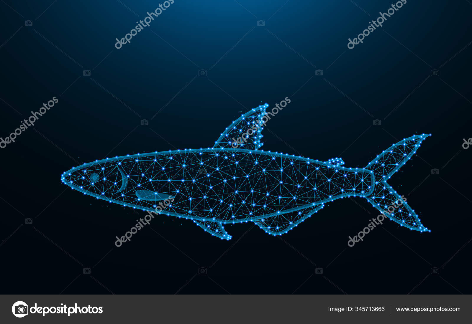 Fish made from points and lines on dark blue background, animal ...