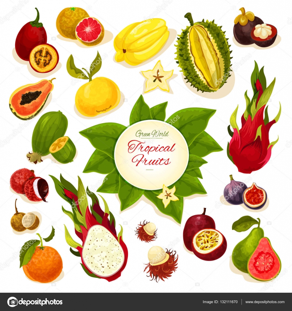 Tropical fresh fruits vector poster — Stock Vector © Seamartini #132111670
