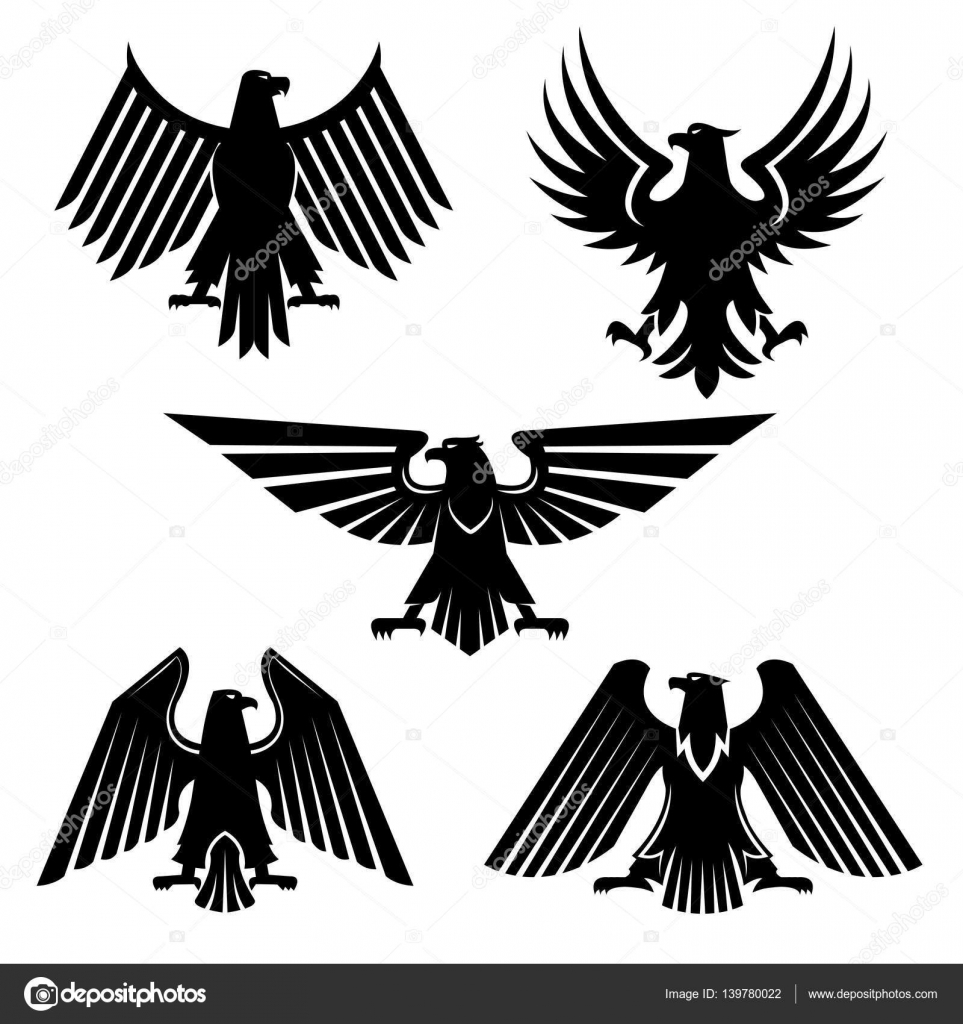 Set of hawk and eagle heraldic, falcon icons — Stock Vector ...