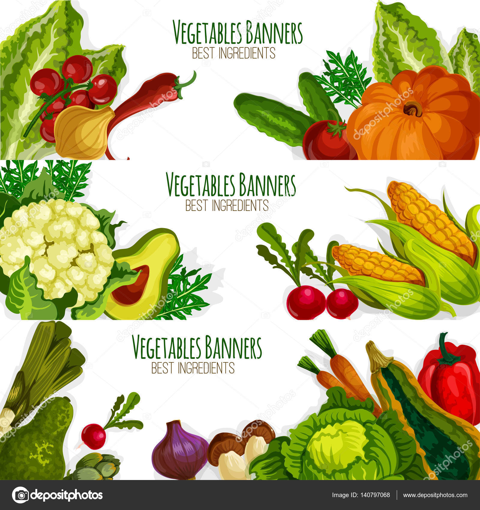 Vegetable vector banners set of fresh vegetables Stock Vector Image by ...