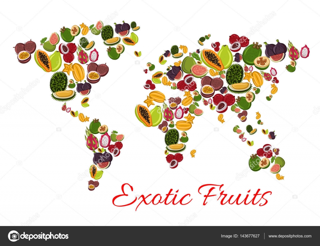 Exotic fruit world map poster for food design ⬇ Vector Image by ...