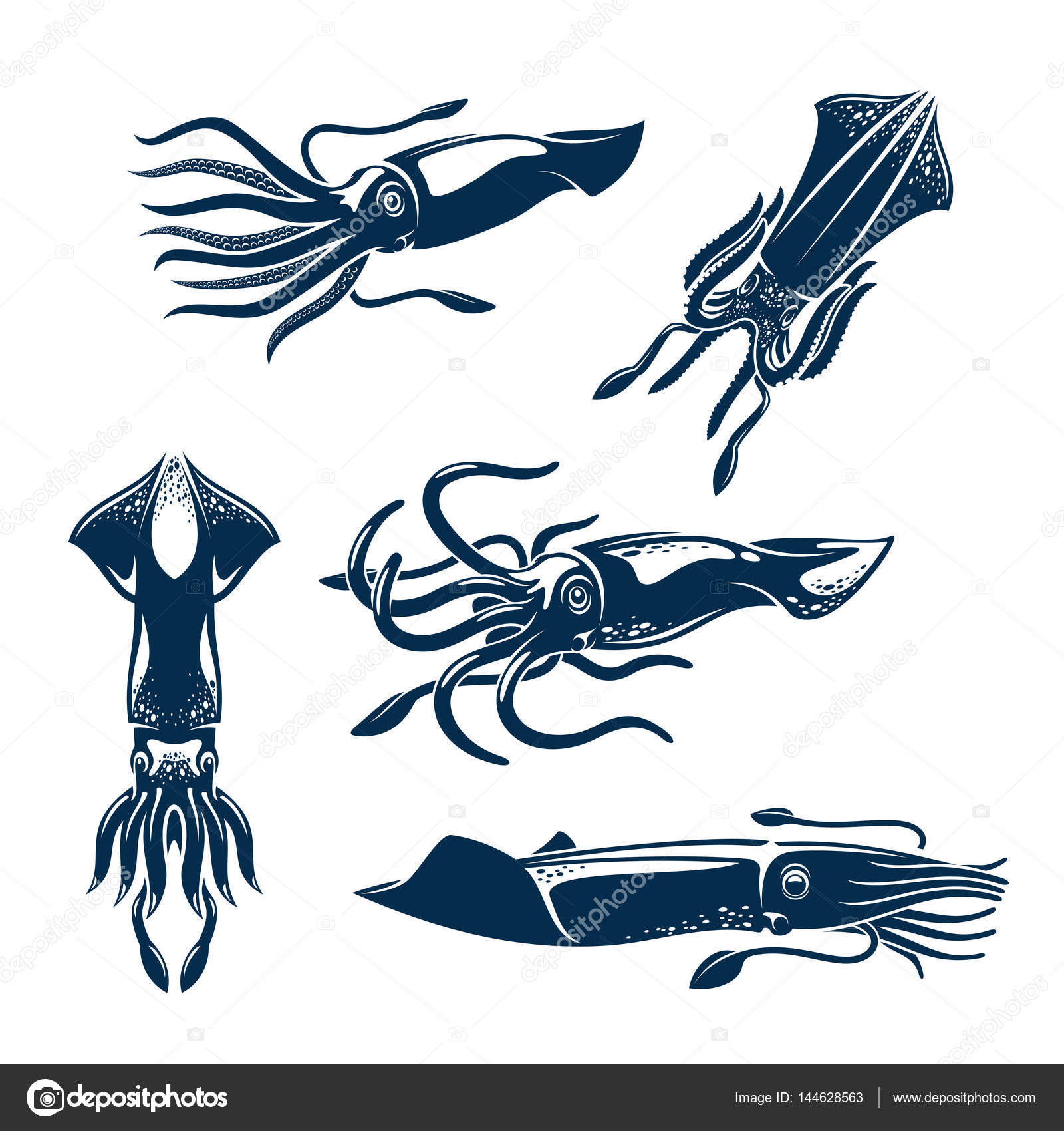 Squid sea animal icon set for seafood design Stock Vector Image by ...