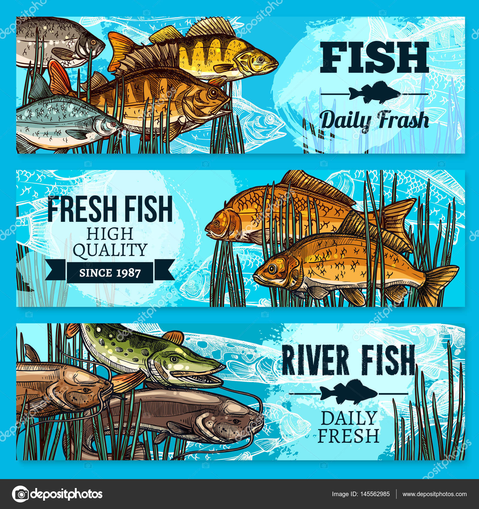 Баннеры для векторного наброска свежей рыбы на рынок: векторное ...