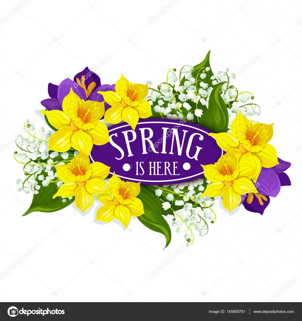 Poster vectoriel vacances printemps bouquet jonquilles Vecteur par ...