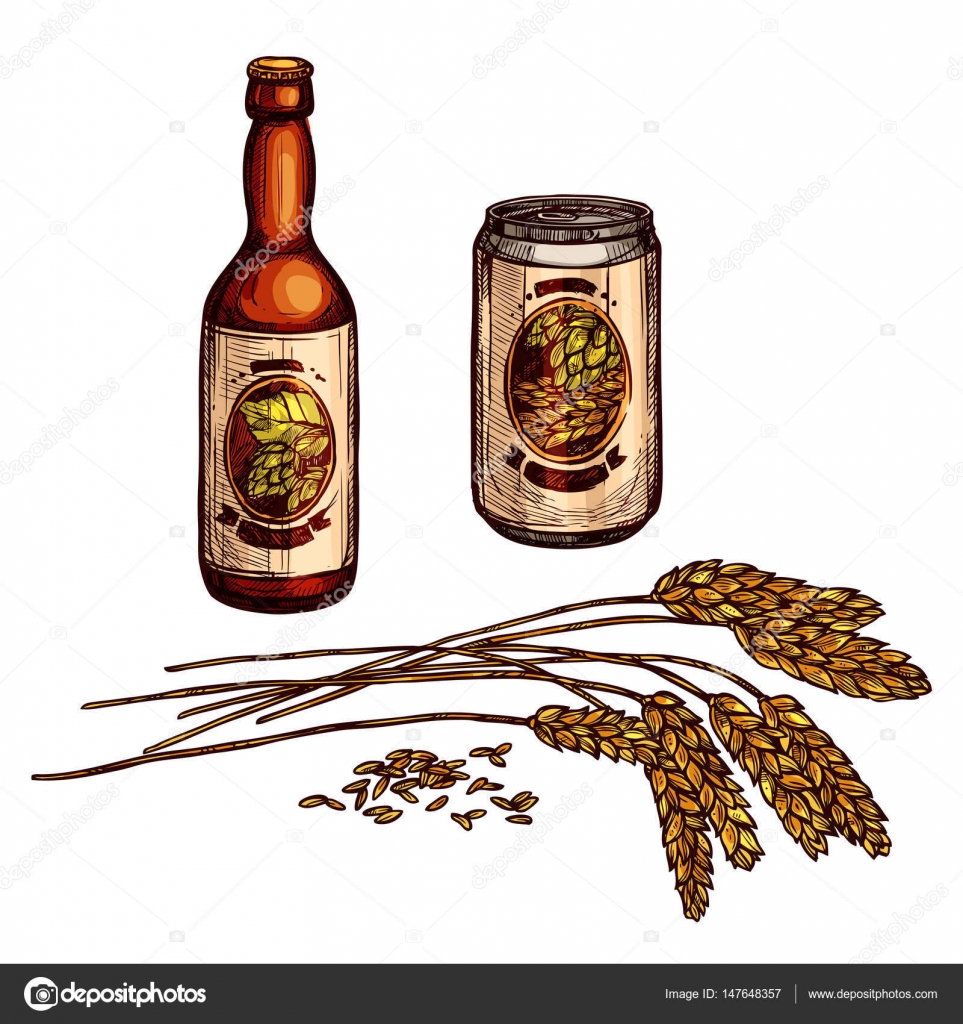 Beer, lager and ale drinks sketch with bottle, can Stock Vector Image ...
