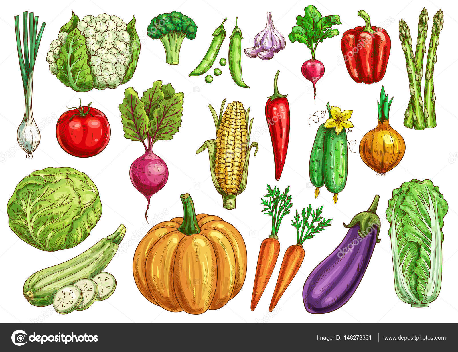 Vegetables isolated sketch set with fresh veggies — Stock Vector ...
