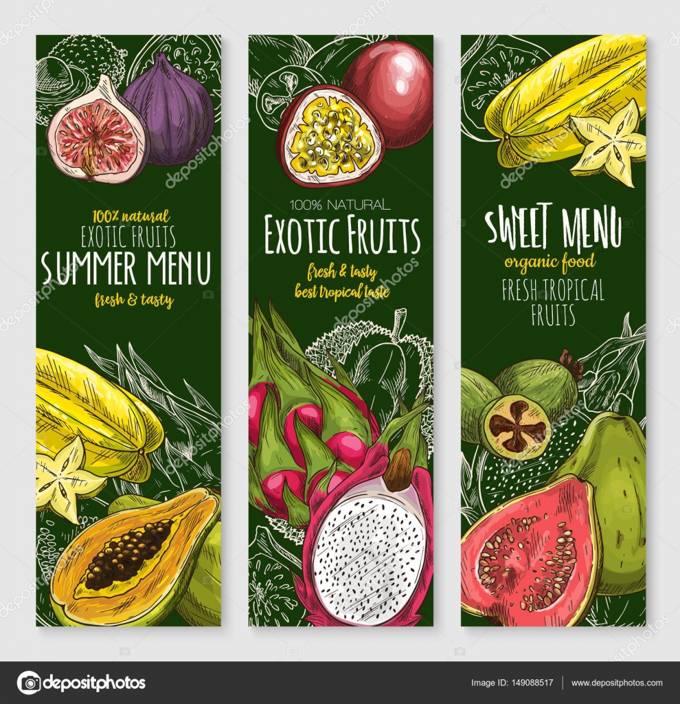 Vector banners set of exotic tropical fresh fruits — Stock Vector ...
