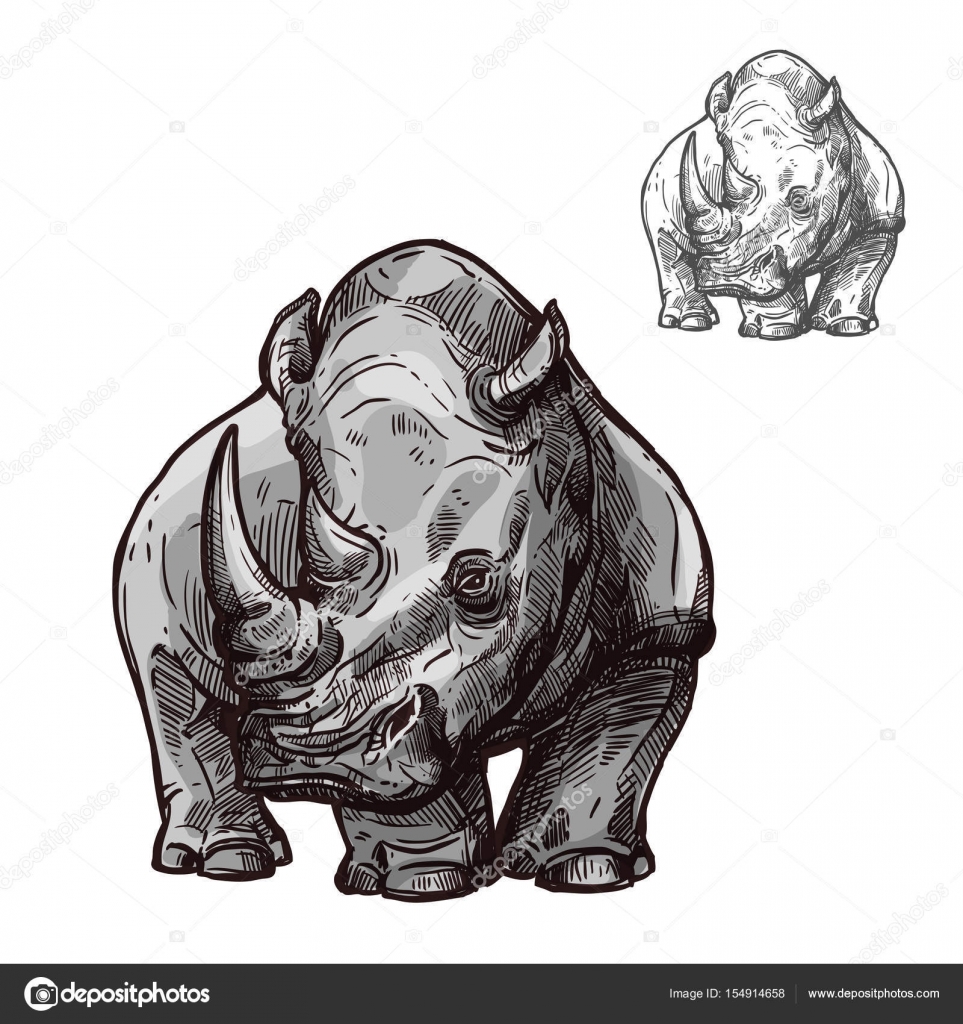 Hewan badak mengisolasi sketsa badak afrika Vektor Stok oleh ...