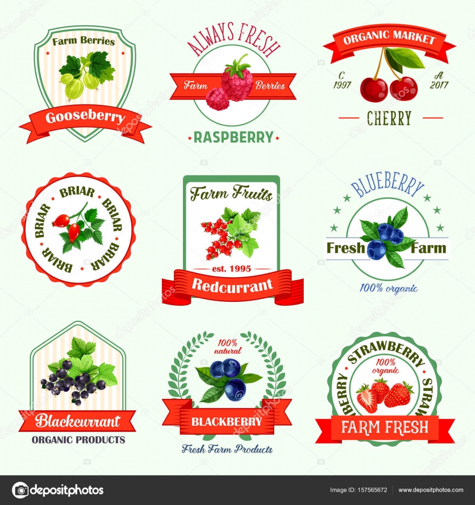 Berries vector icons for berry product labels Stock Vector by ...