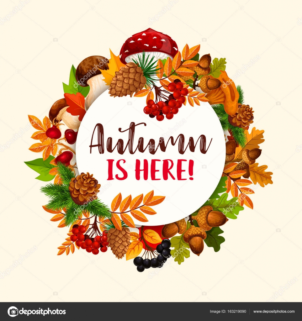 Autumn frame of fallen leaf, fruit, mushroom Stock Vector Image by ...