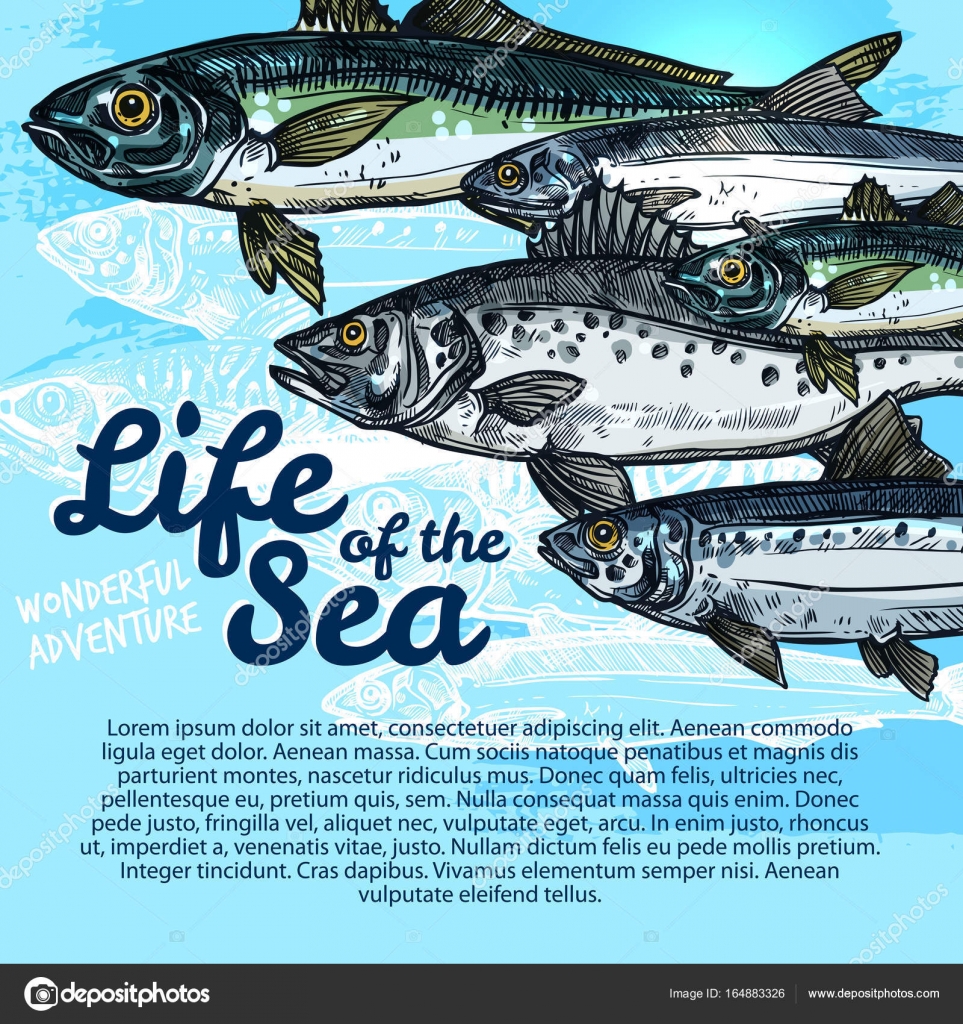 Vector poster of fish sea life or oceanarium — Stock Vector ...