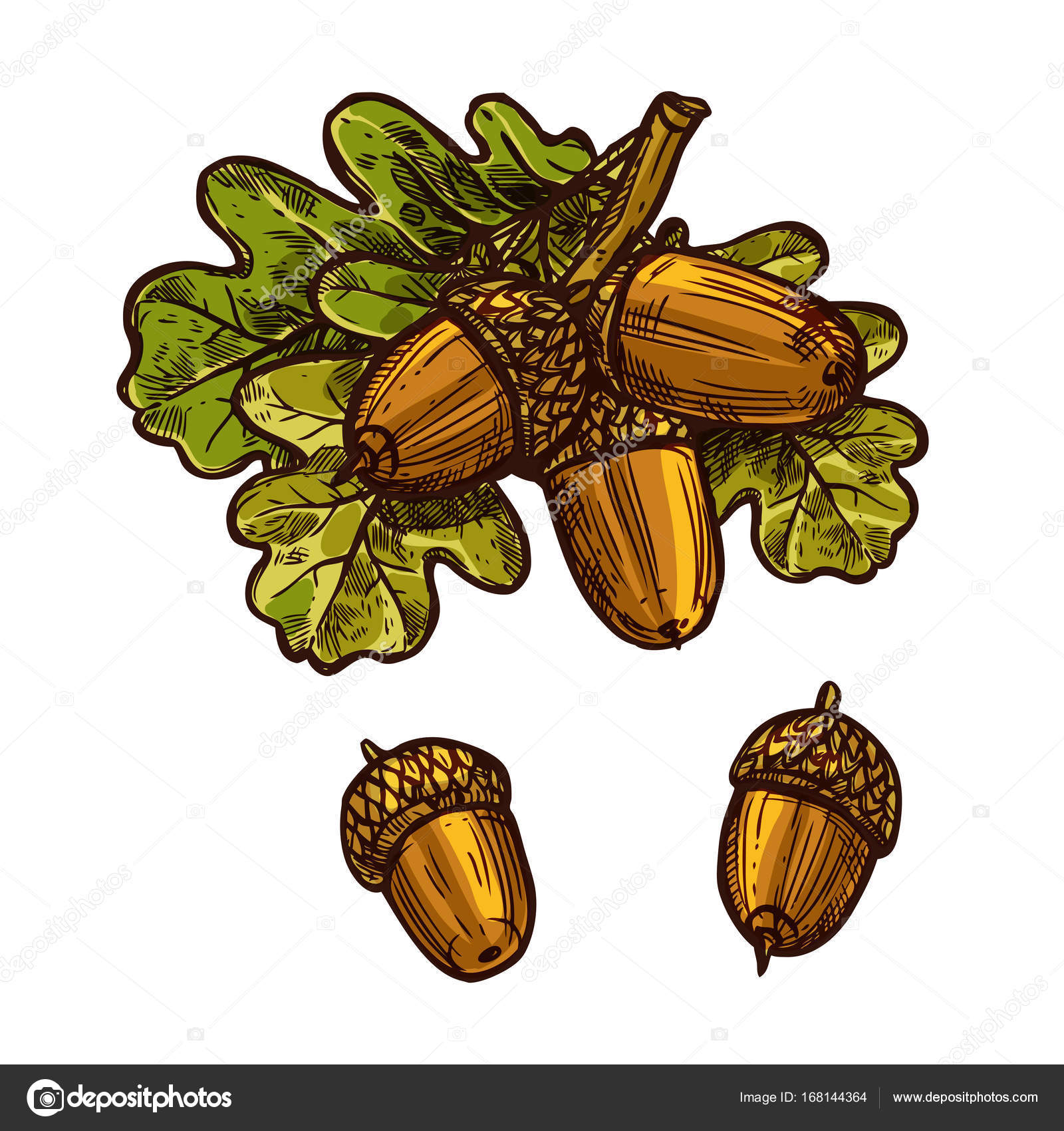Oak Leaf And Acorn Template