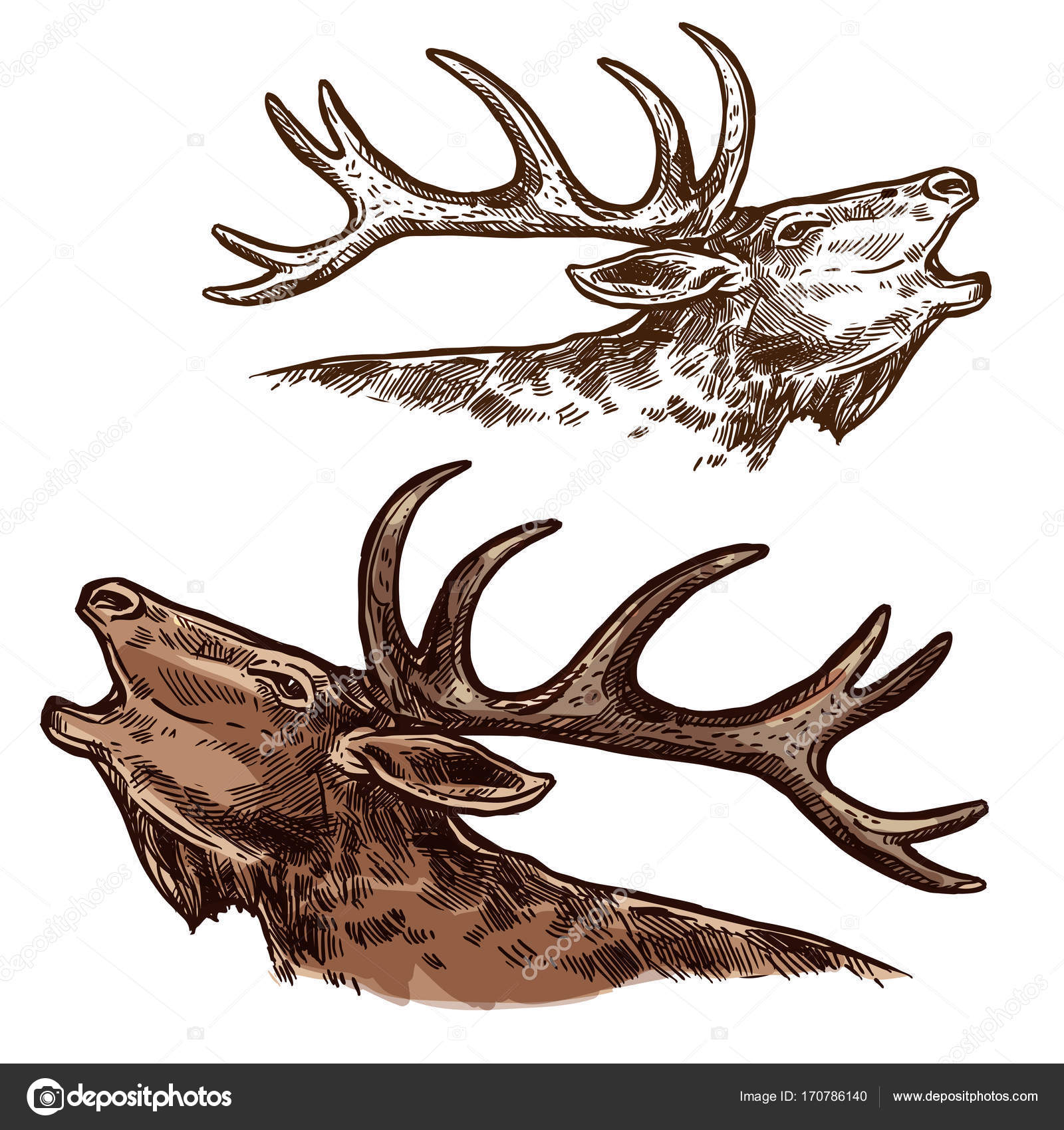 Elk Antlers Outline