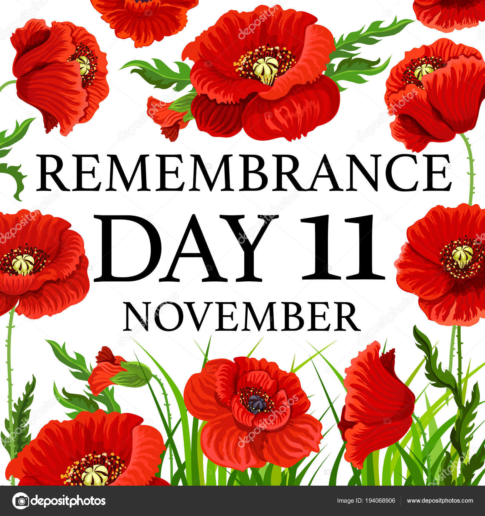 Red Poppies Veterans Day