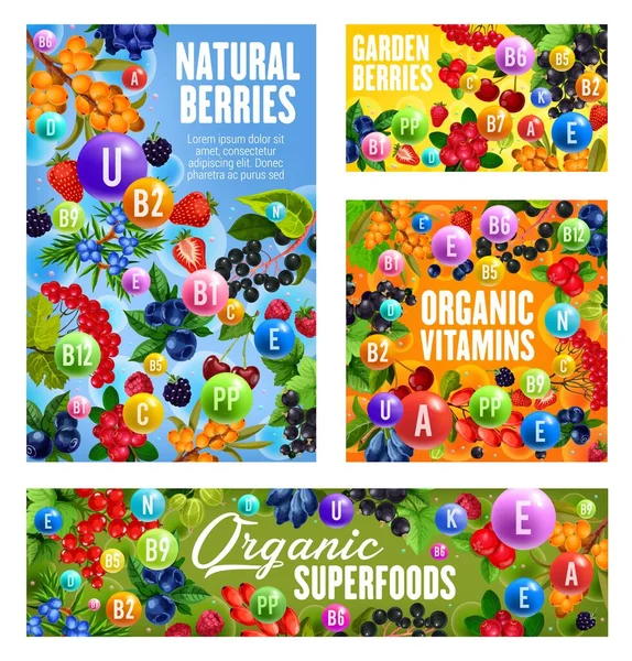 Vitamins and health benefits of berries and fruits Stock Vector Image ...