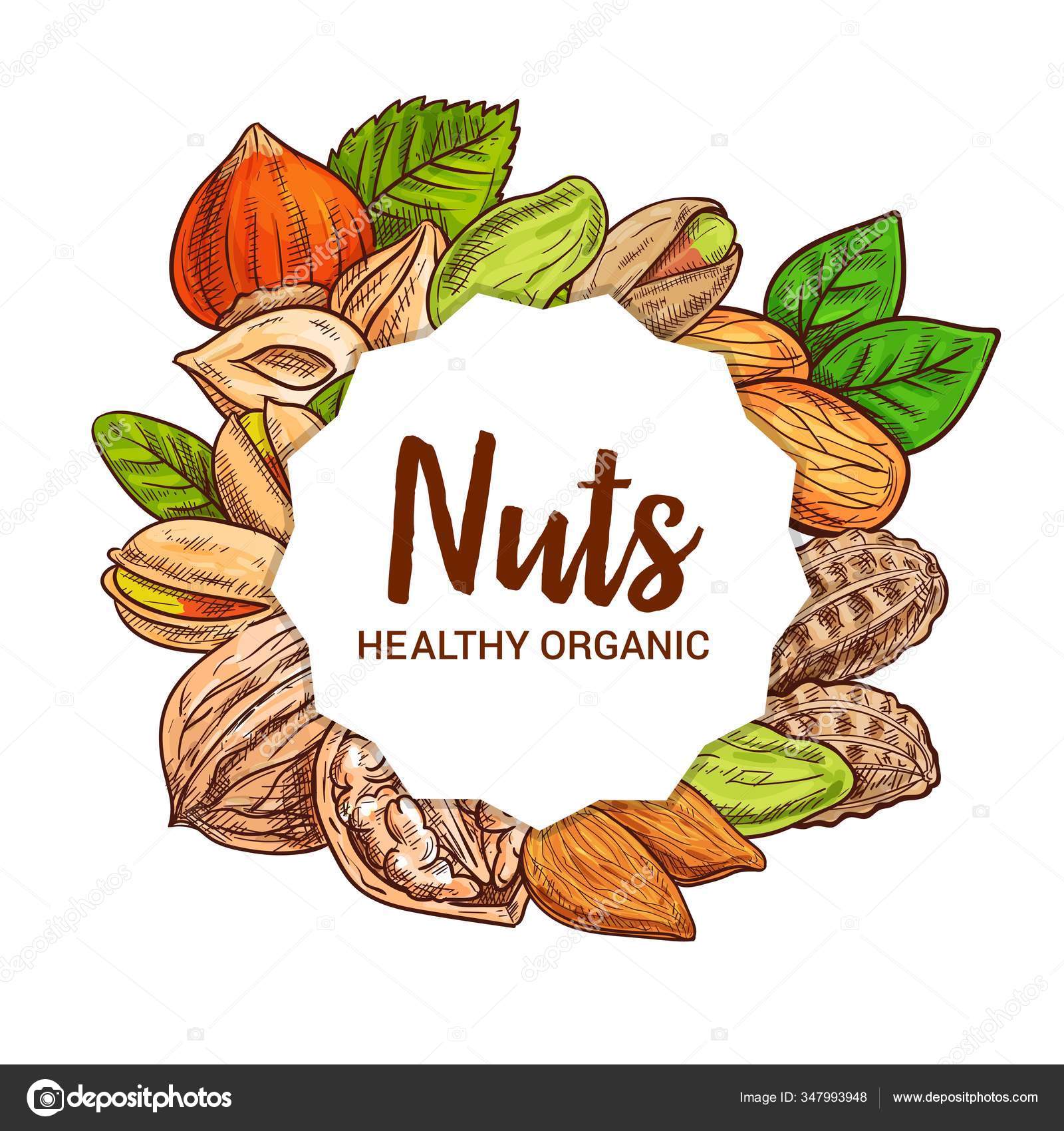 Nuts Logo Design
