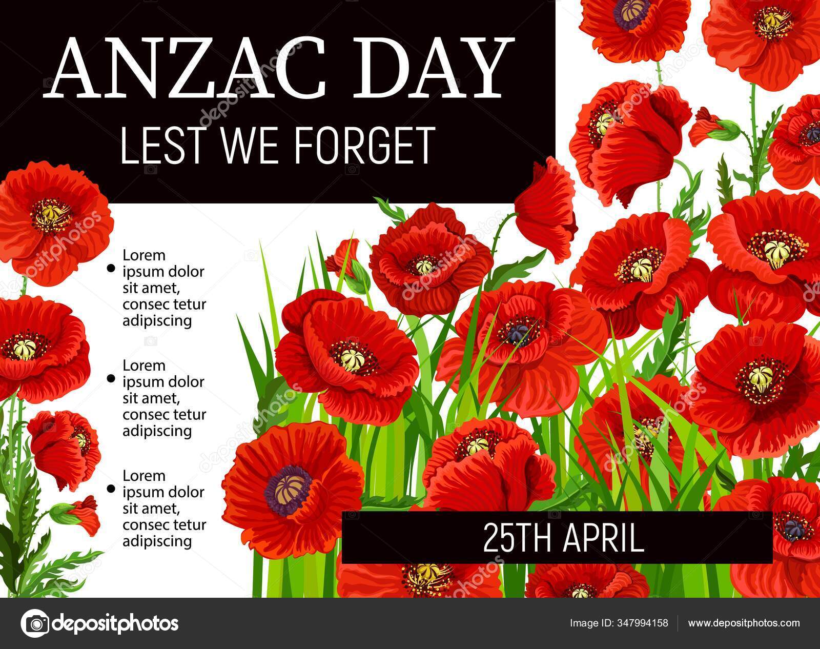Poppies Anzac Day Vector Poster Design Red Flowers Australian New Stock ...