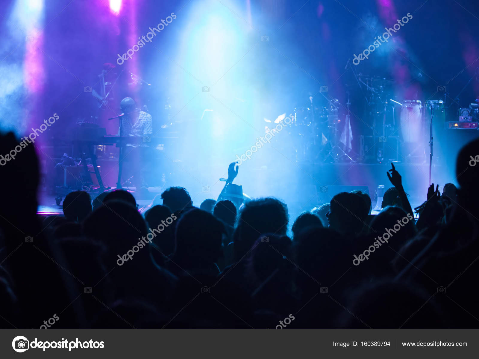 Cheering crowd at a concert Stock Photo by ©erika8213 160389794
