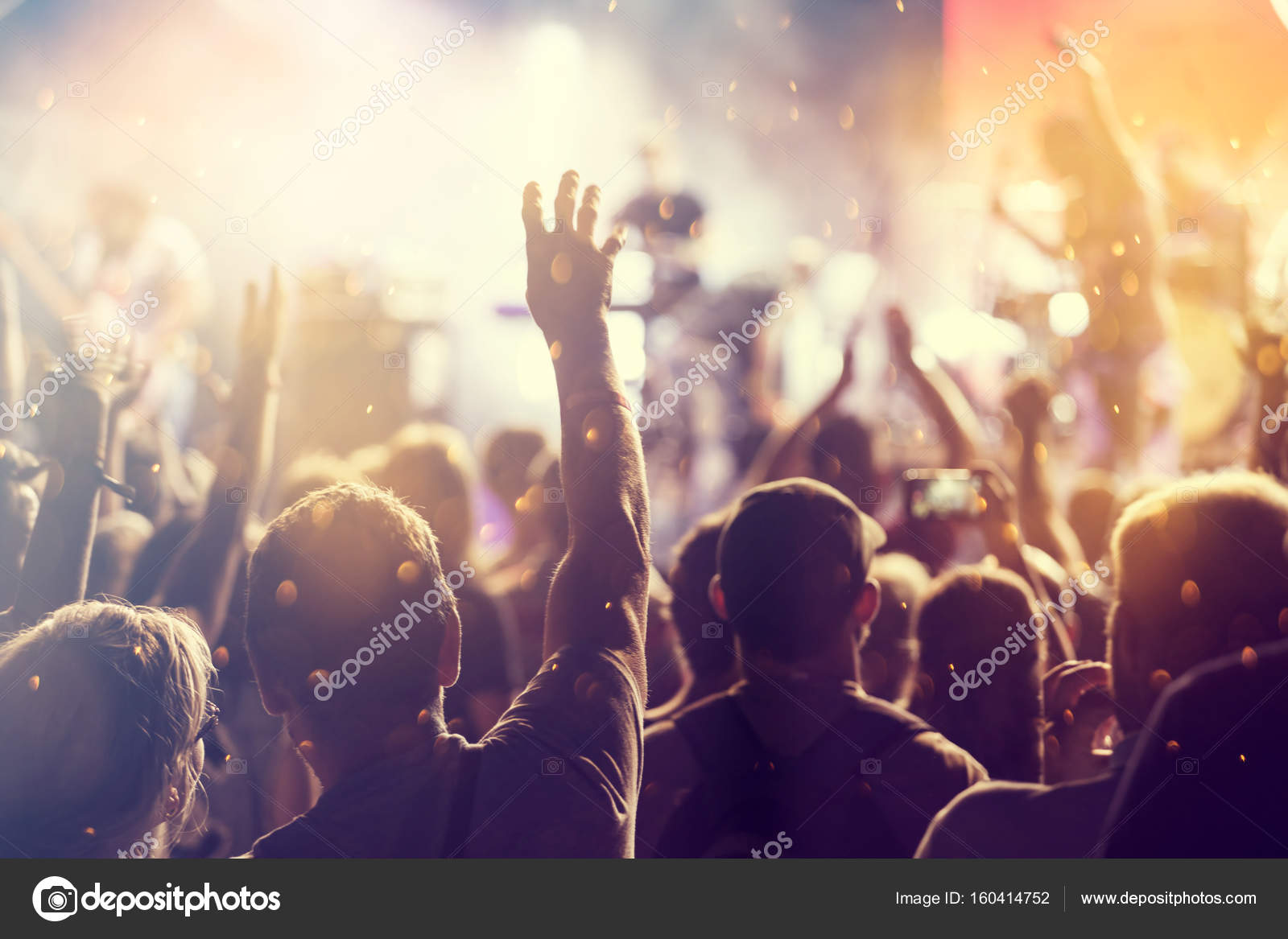 Happy Audience At A Concert