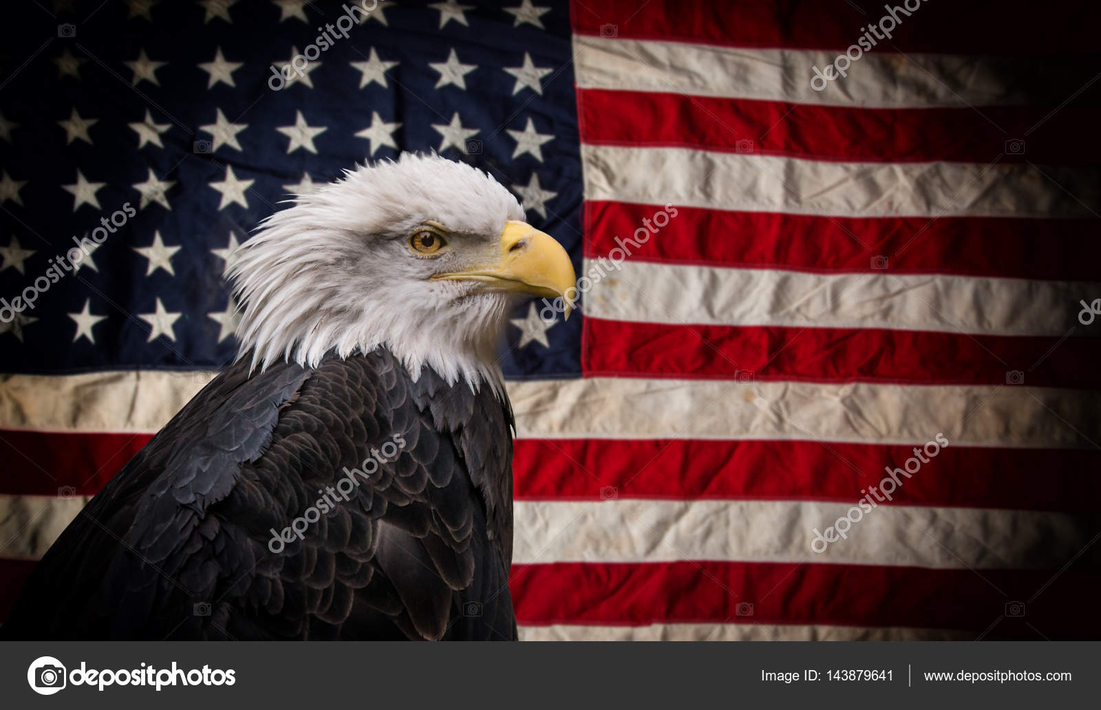 American Flag Bald Eagle Symbols Of America Hd Wallpaper High