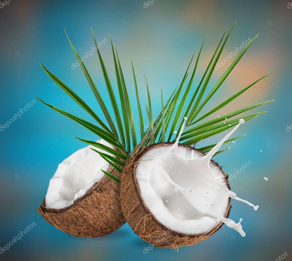 El primer plano de los cocos con el chorrito de leche. 2023