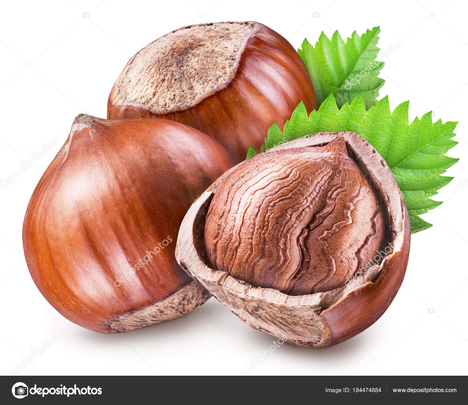 Avellanas, almendra de avellana y hojas verdes. Ruta de recorte ...