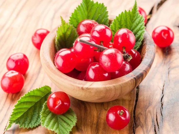 Manchu cherry Stock Photos, Royalty Free Manchu cherry Images ...