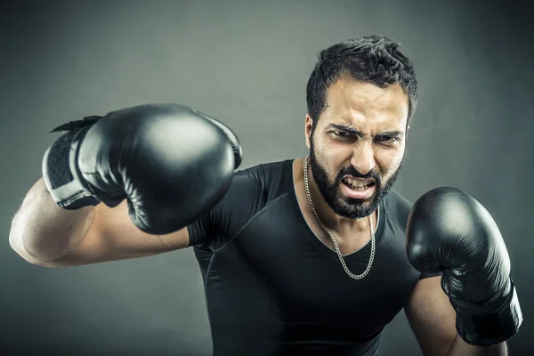 The Angry Boxer - Stock Image - Everypixel