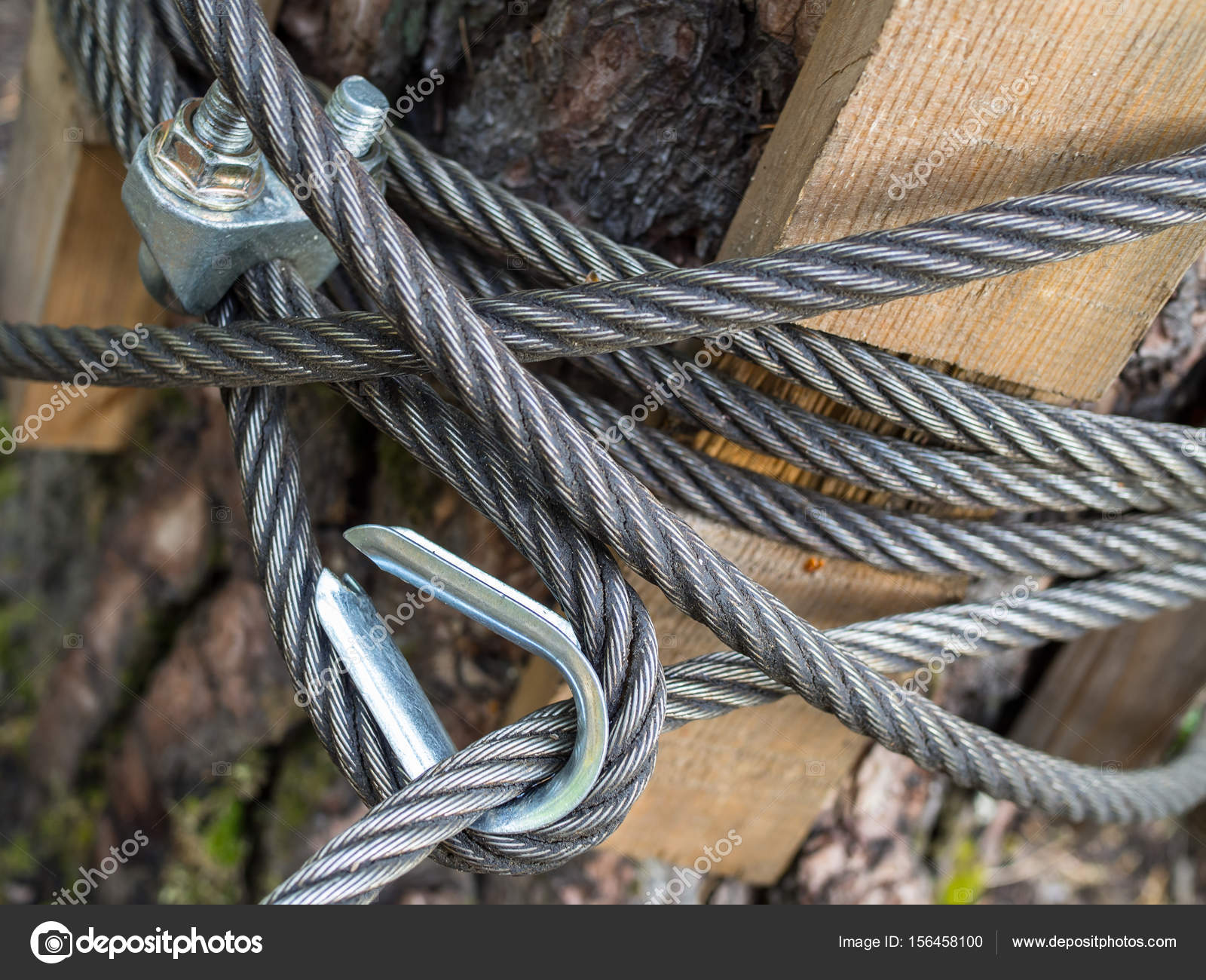 Cable de eslingas de acero atado alrededor del árbol forestal — Foto de ...