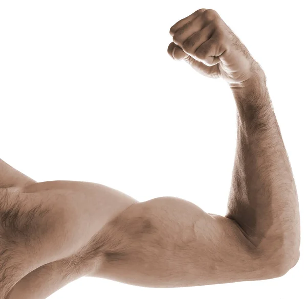 Mans arm muscles Stock Photos, Royalty Free Mans arm muscles Images ...
