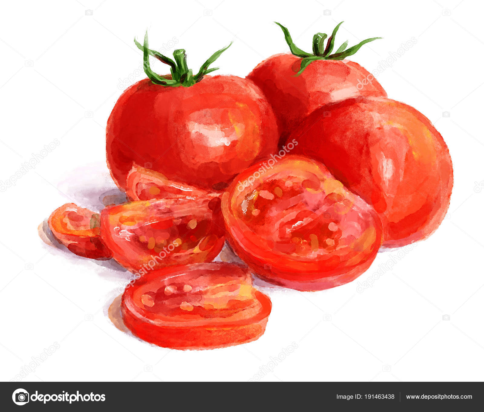 Tomato Watercolor Painting